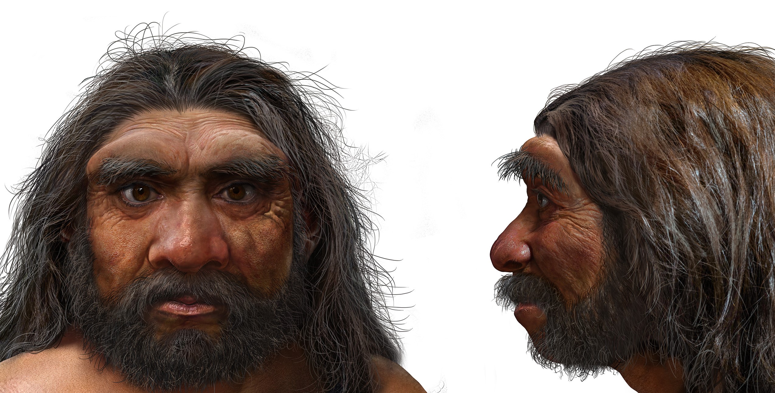 150,000-year-old 'Dragon Man' could be our closest relative yet - Scimex