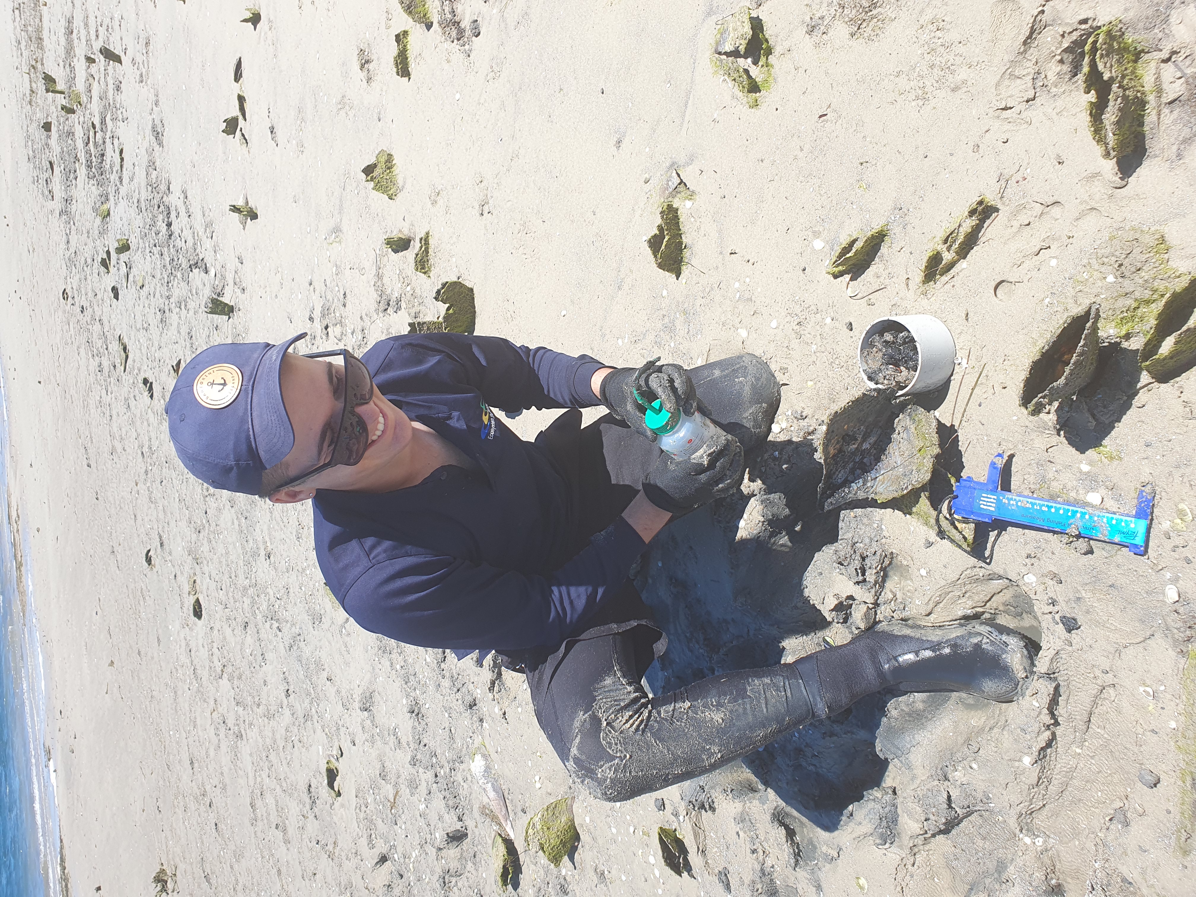 Shellfish reefs support marine biodiversity in Port Adelaide shipping ...
