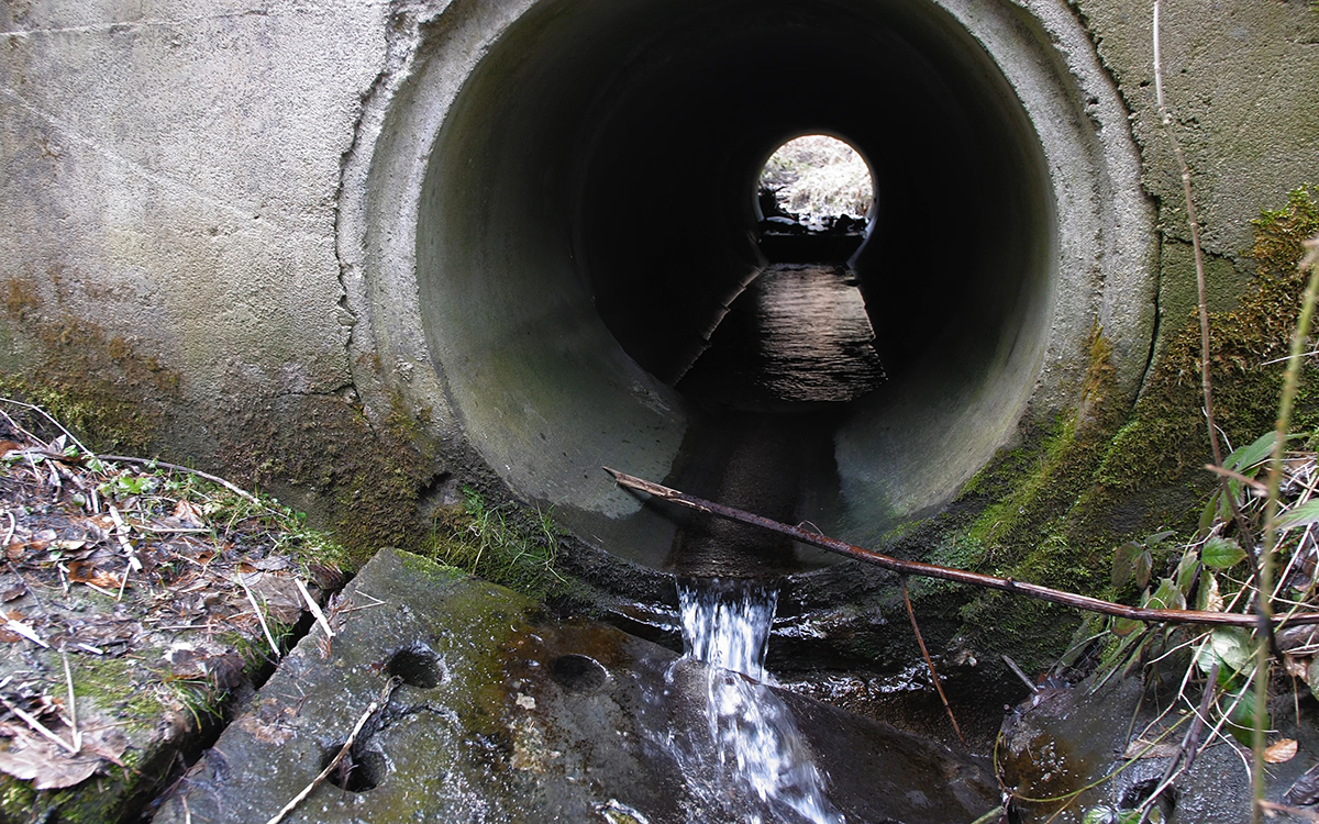 Understanding corrosion in concrete sewer pipes - Scimex