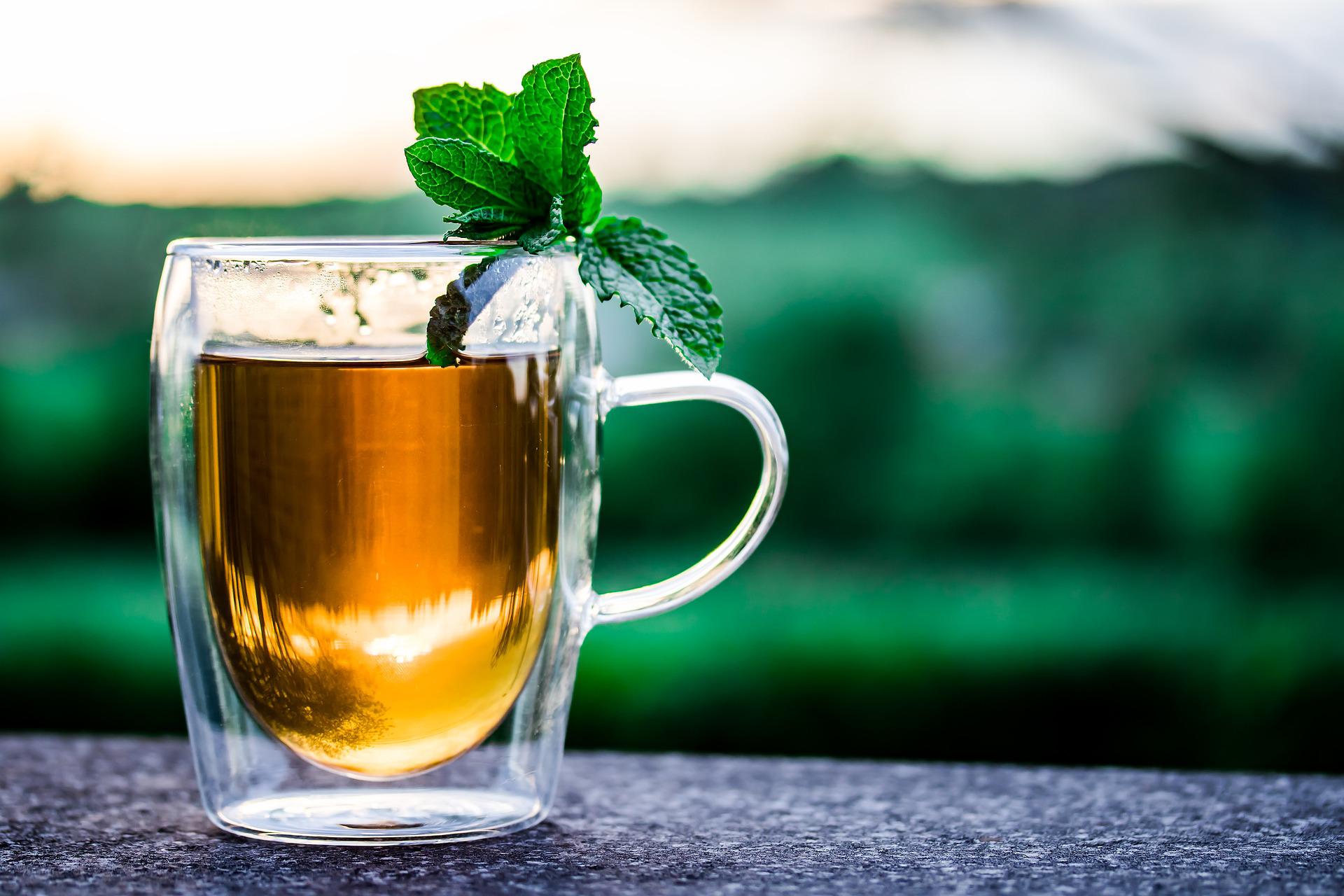 Is there a trace of bug in your cup of tea? - Scimex