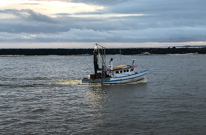 Why rivers matter for the global carbon cycle - Scimex