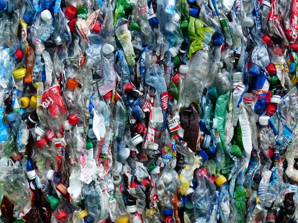 Buying drinks in larger bottles could reduce plastic waste - Scimex