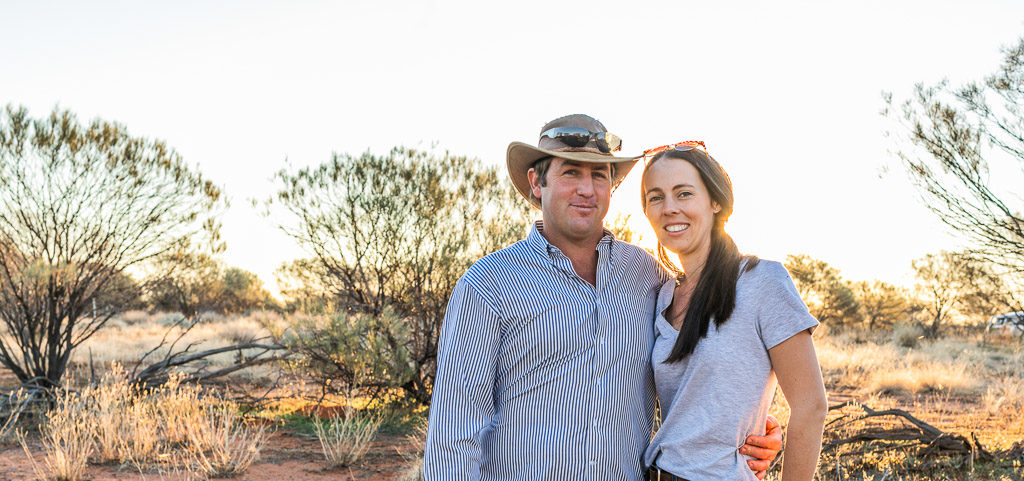 The sheep must give way to the dingo in Australia’s arid rangelands ...