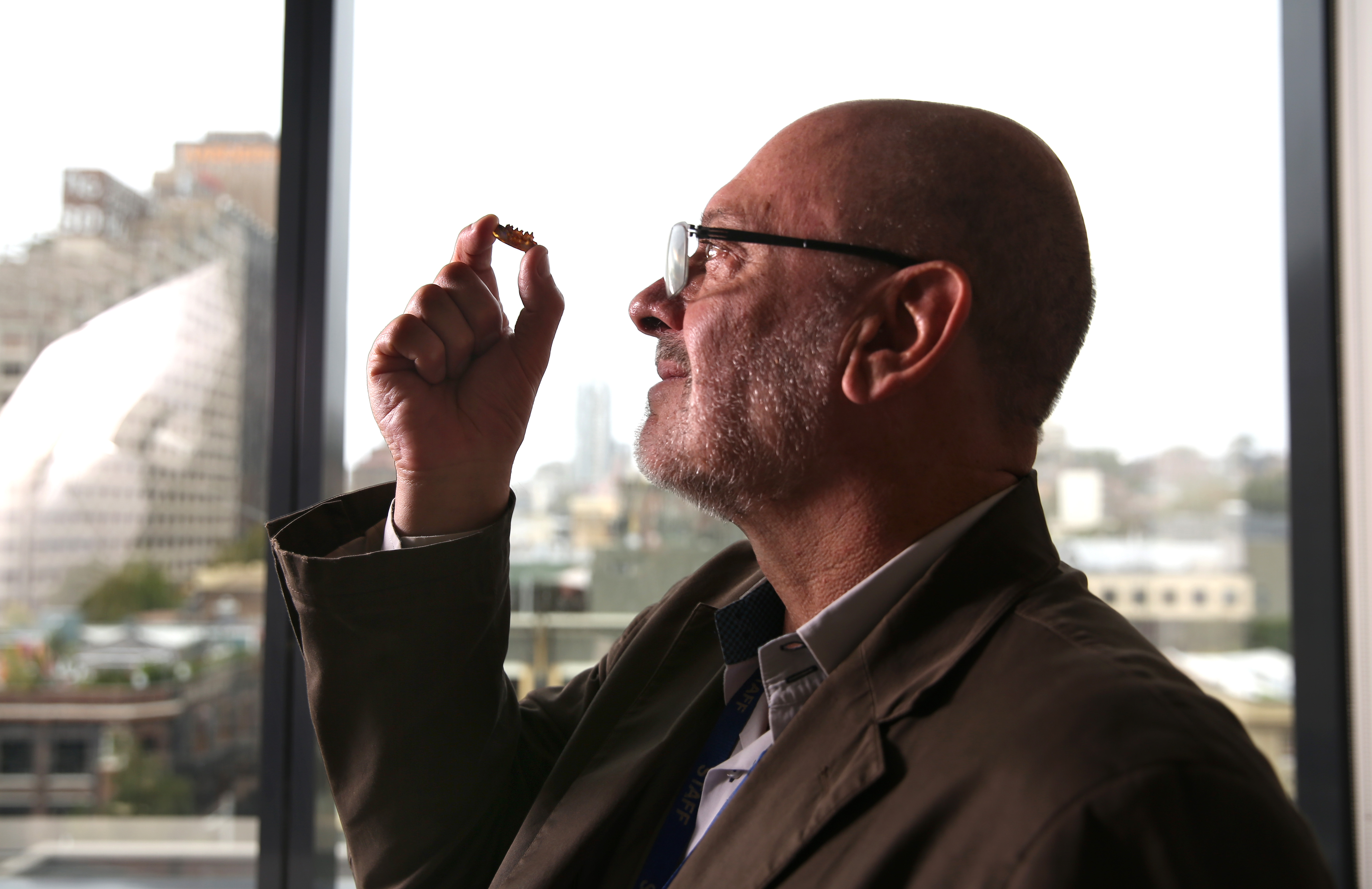 Origin Story of Mysterious Monotremes Revealed - Scimex