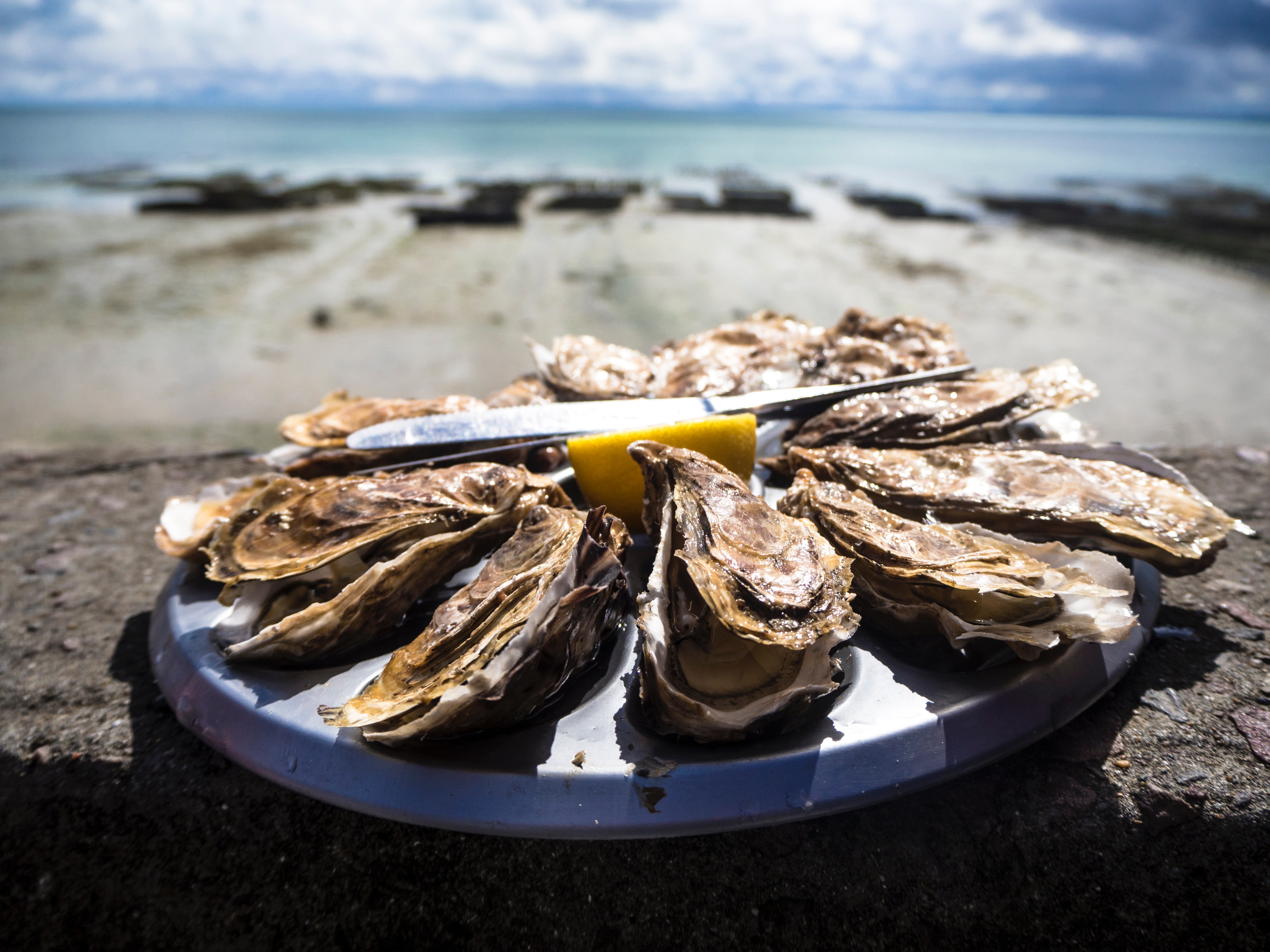 Aboriginal communities successfully farmed oysters for thousands of ...