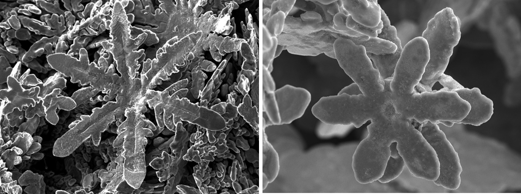 I’m dreaming of a zinc Christmas?! Intricate ‘snowflakes’ created in ...