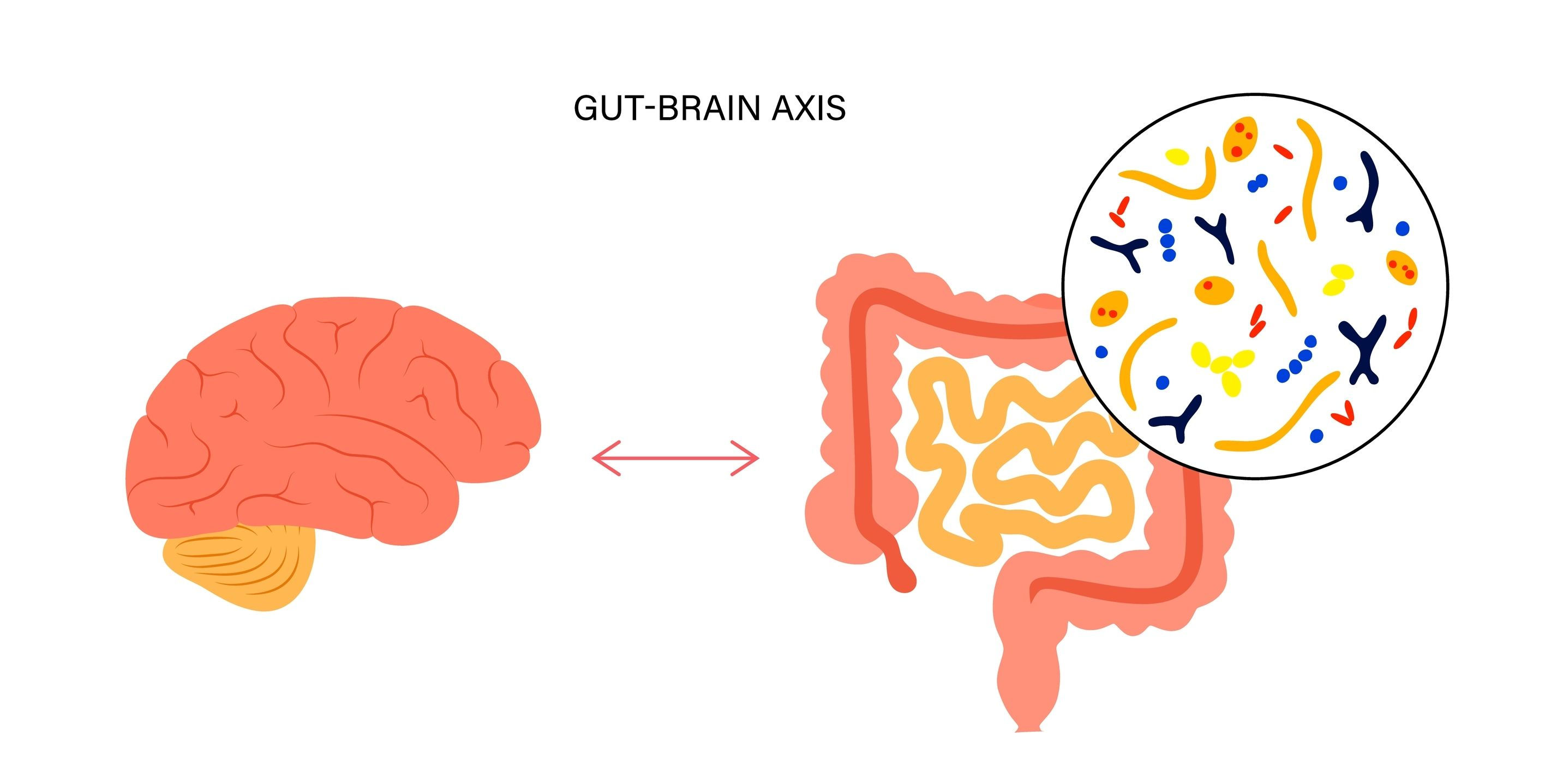 New insights into chronic gut pain offer hope of irritable bowel ...