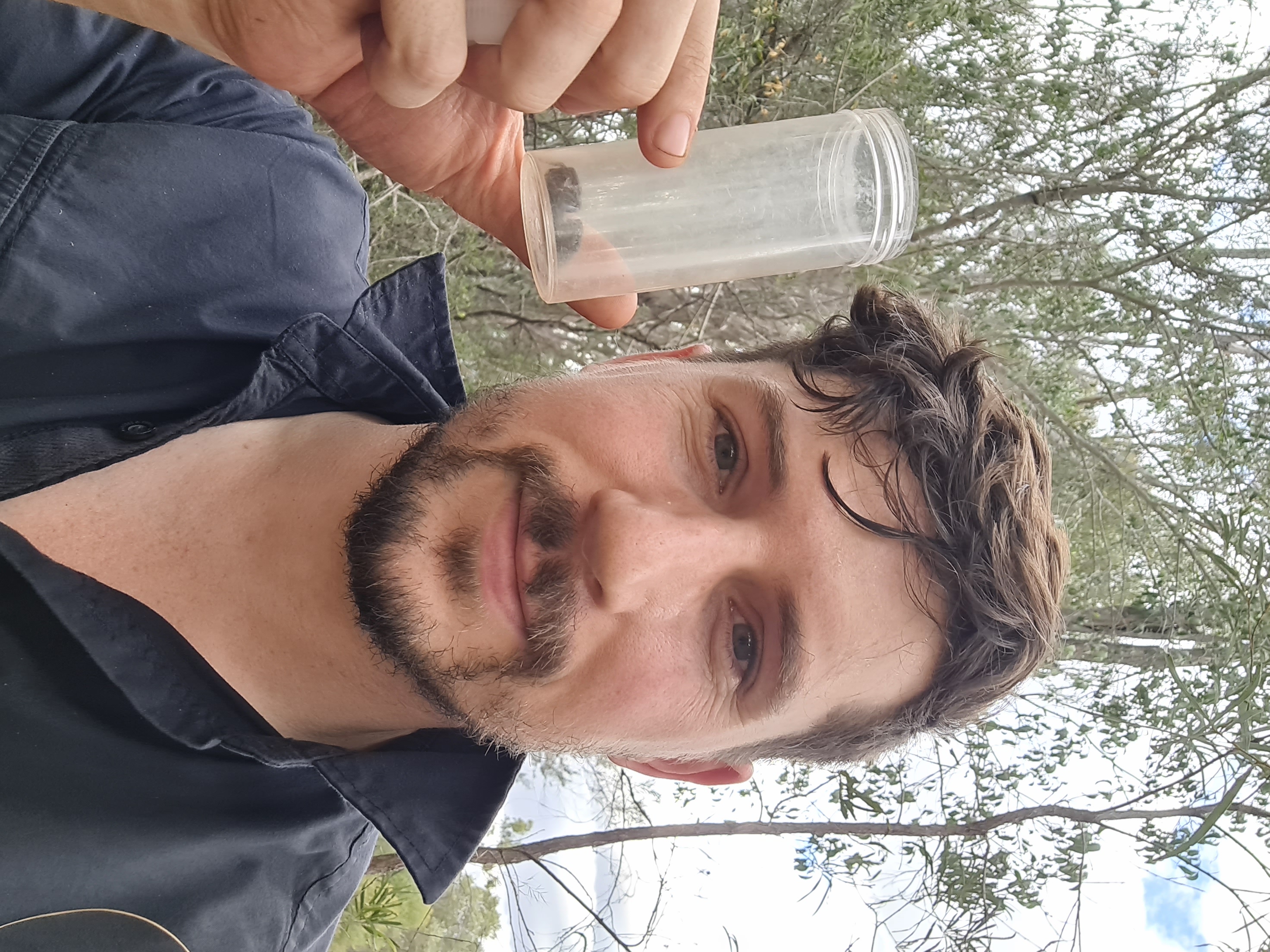 New species of wishbone spiders uncovered in field work - Scimex