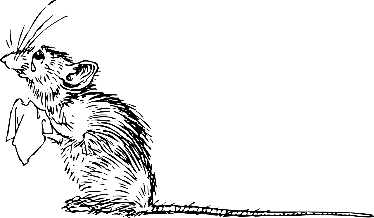 Is anxiety contagious? - Scimex