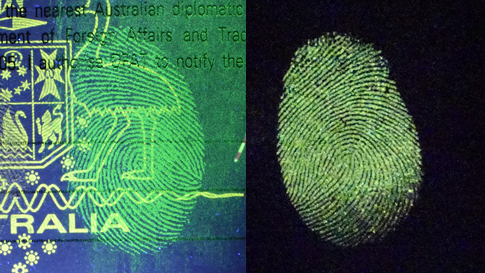 Phosphorescence reveals hidden fingerprints - Scimex