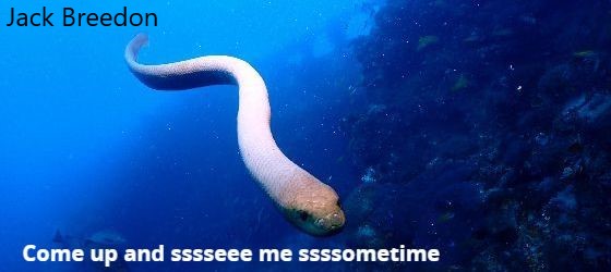 The AusSMC's Top 10 WEIRD Science Stories 2021! - Scimex