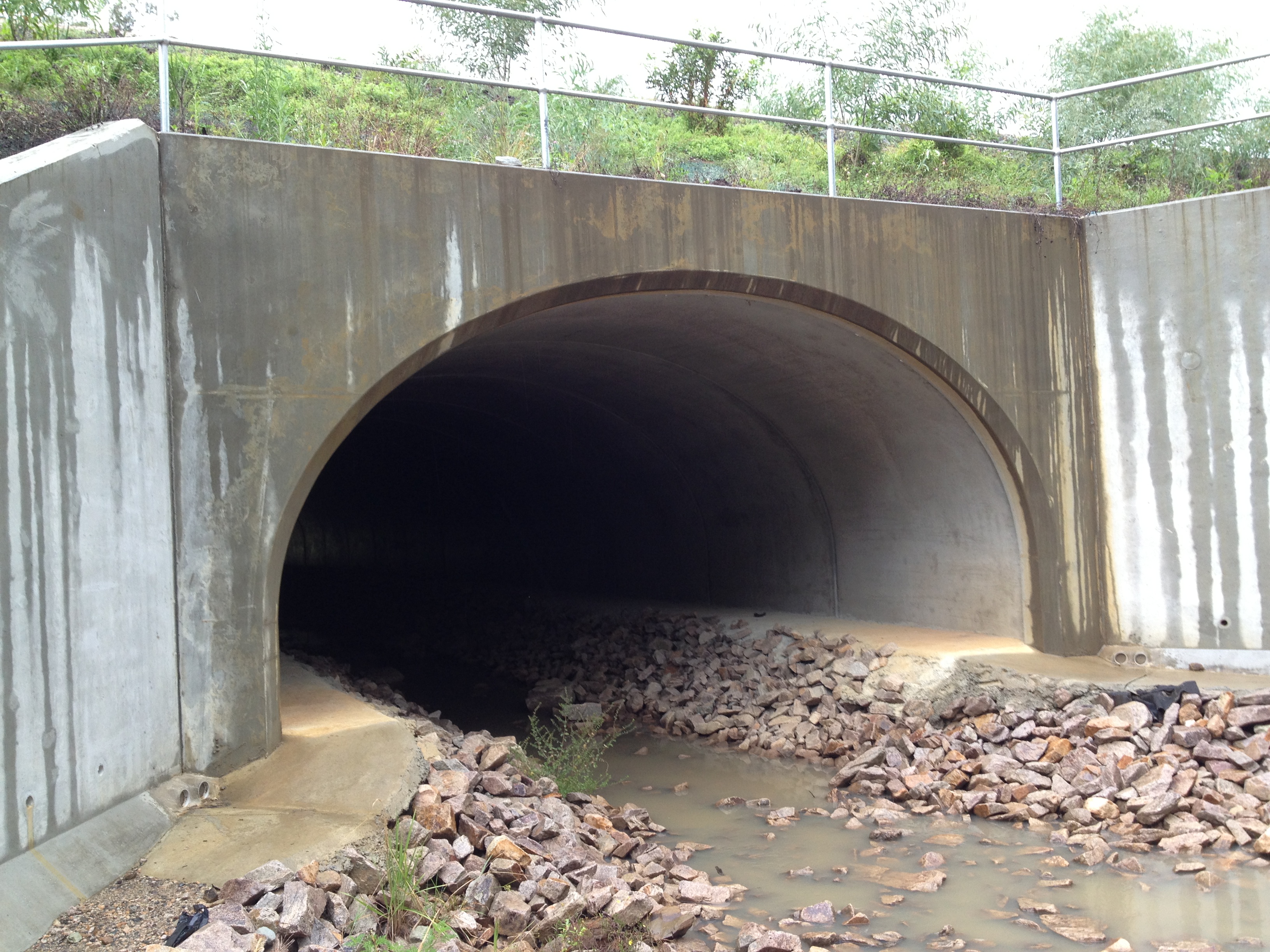 Safe passage for native wildlife using highway underpasses - Scimex