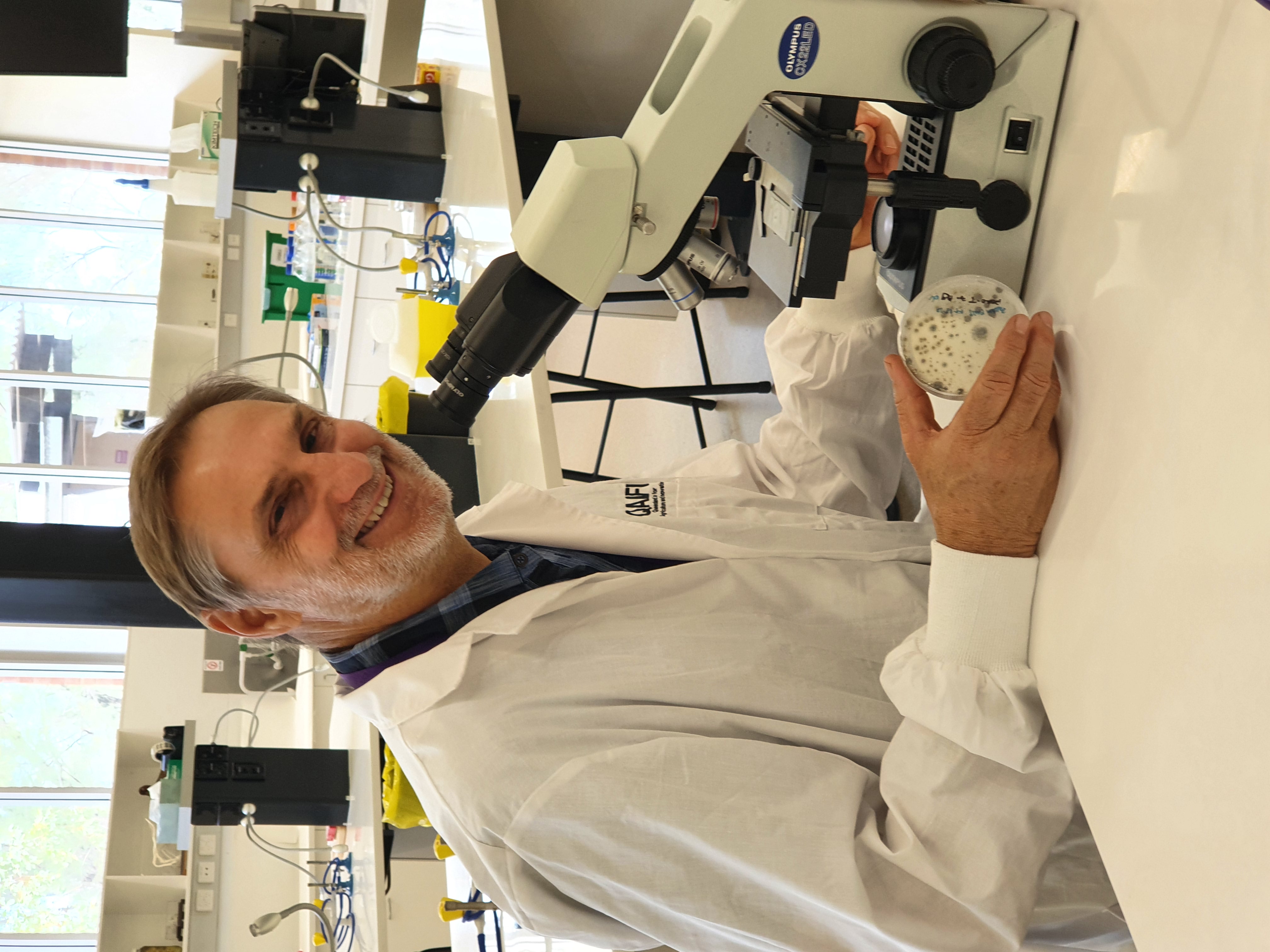 Pachyderm perfume: How African elephants use odour to communicate - Scimex