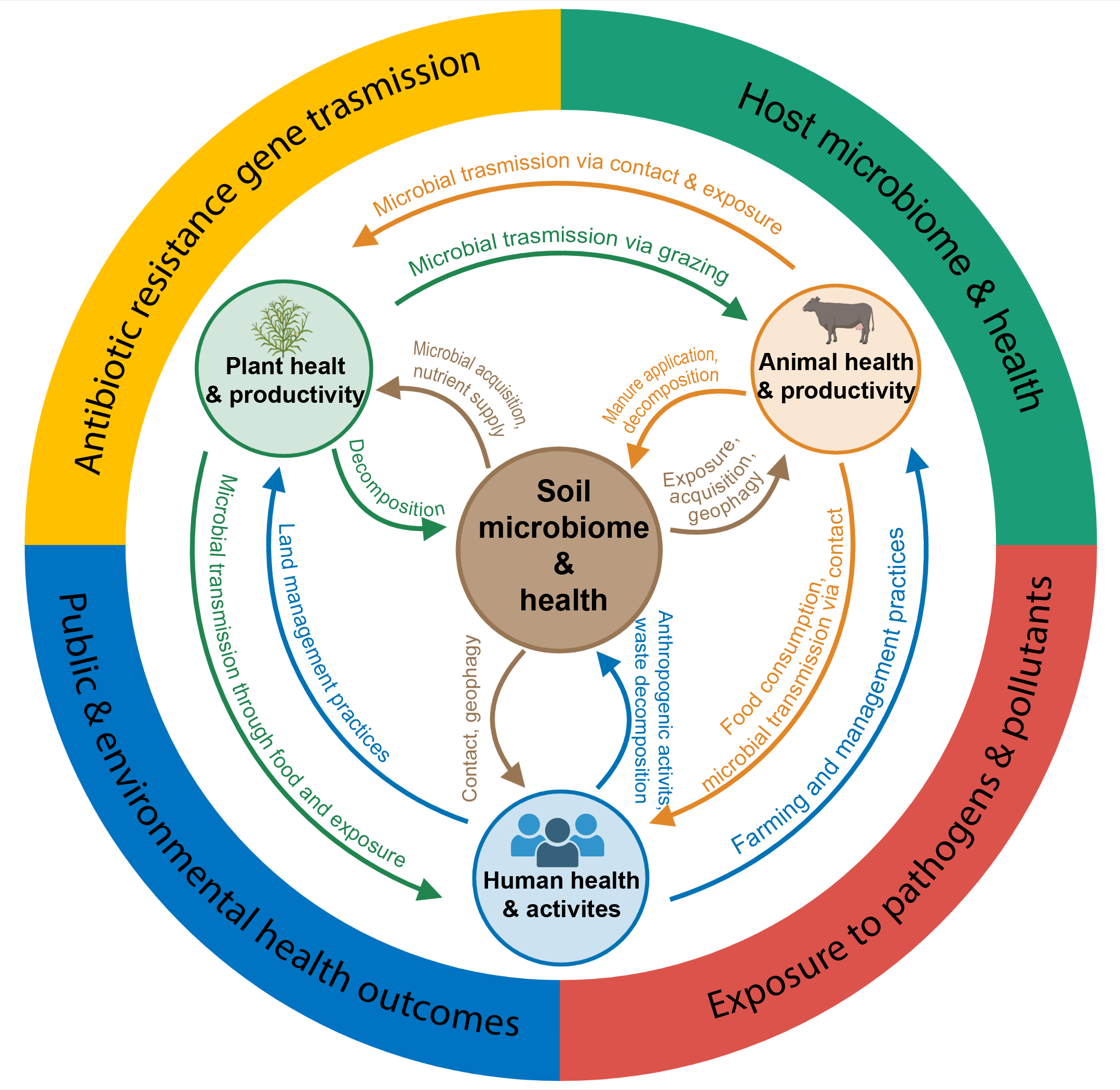 Experts call for the inclusion of soil microbiomes in One Health policy ...