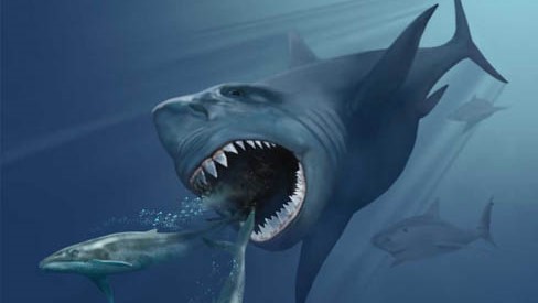 'The Meg' shark had giant babies that ate their unhatched siblings in ...