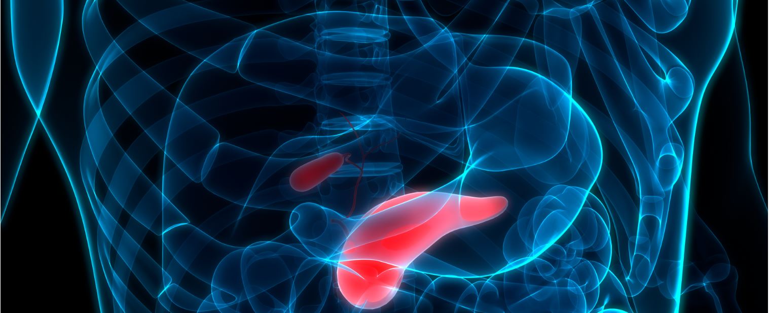 New insights into pancreatitis - Scimex