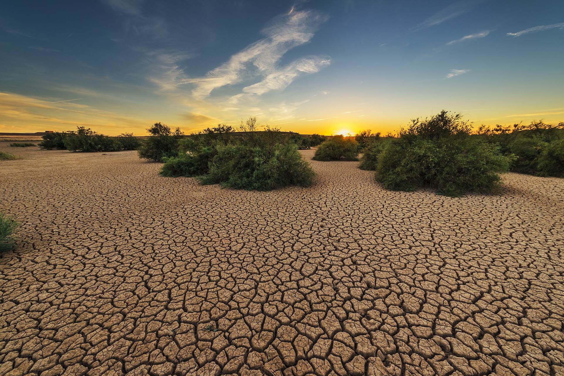 EXPERT REACTION: Drought's impact on society, ecology and agriculture ...