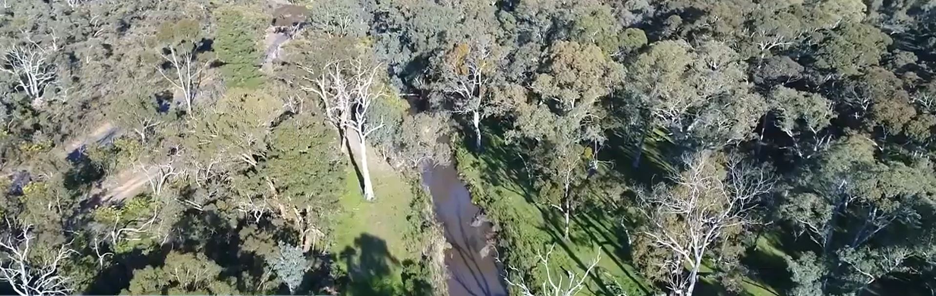 Soil slow to respond to native revegetation efforts - Scimex