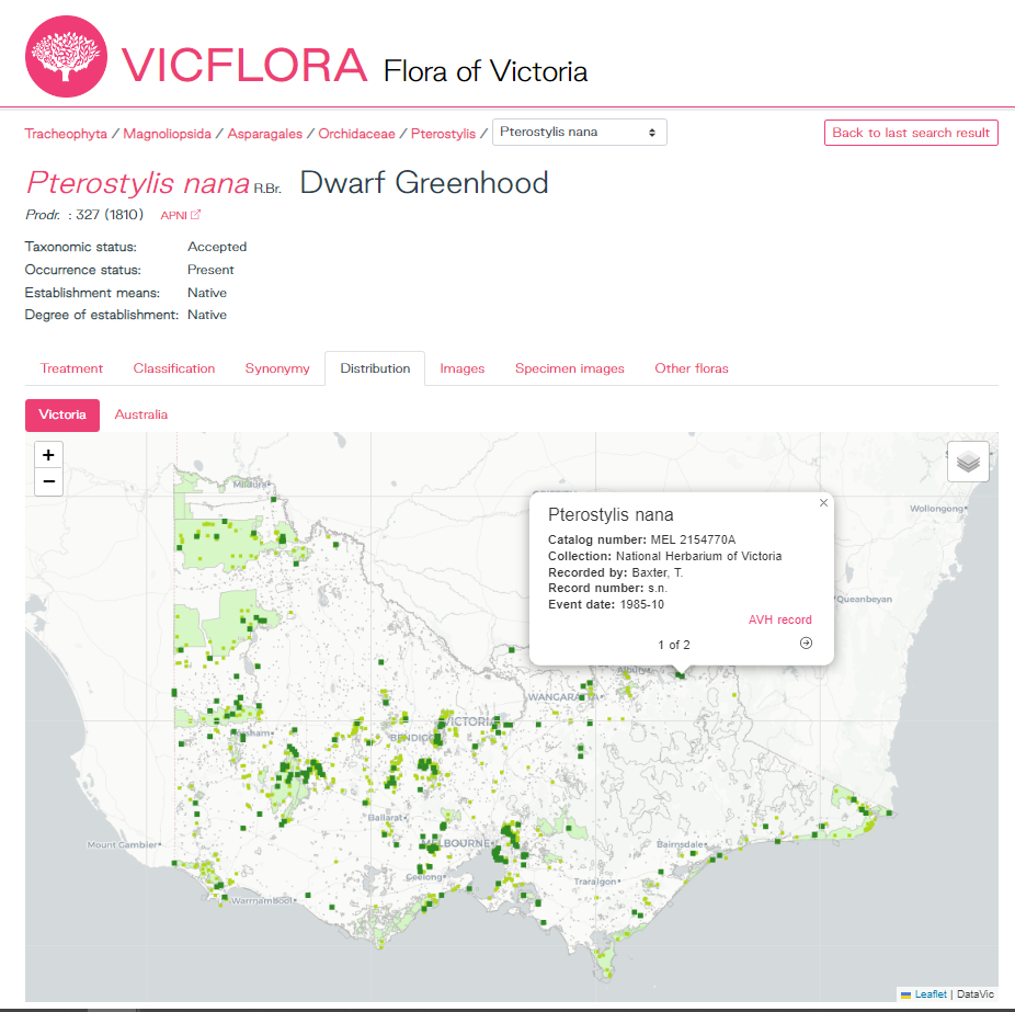 Royal Botanic Gardens Victoria re-launches VicFlora database to help ...