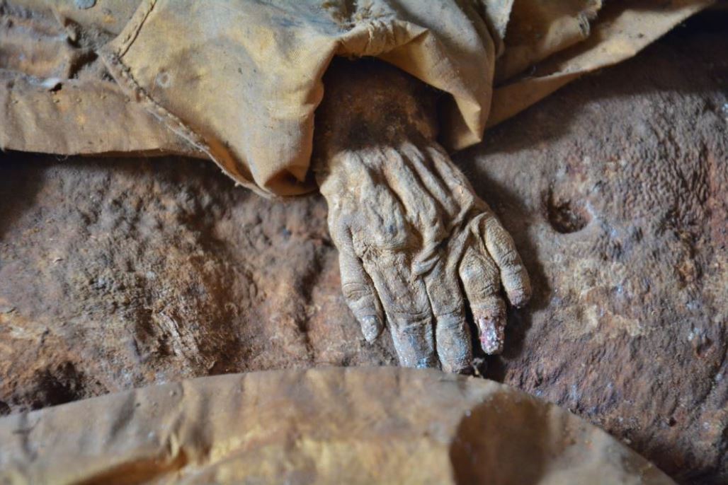 17th century mummified toddler was related to a Count and kept out of ...