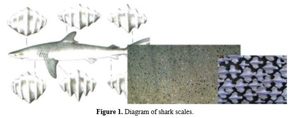 Nanotech turns to shark skin and dragonfly wings - Scimex