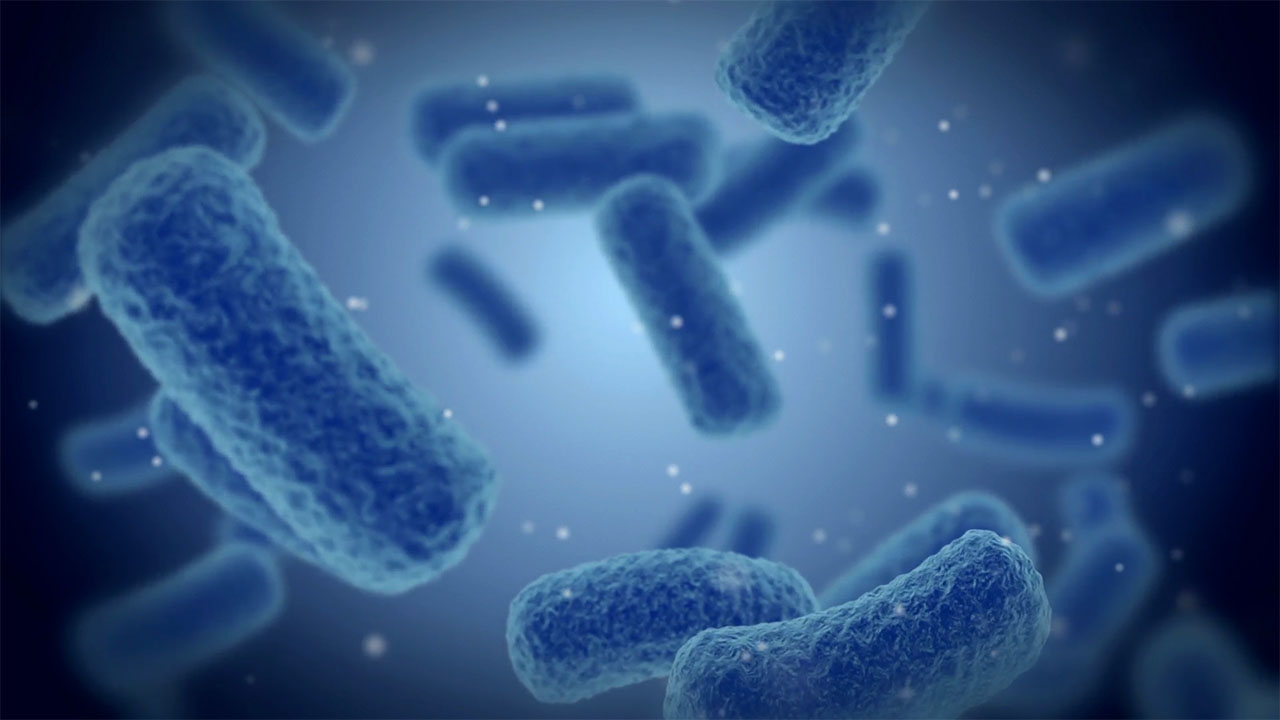 Revealing what makes bacteria life-threatening - Scimex