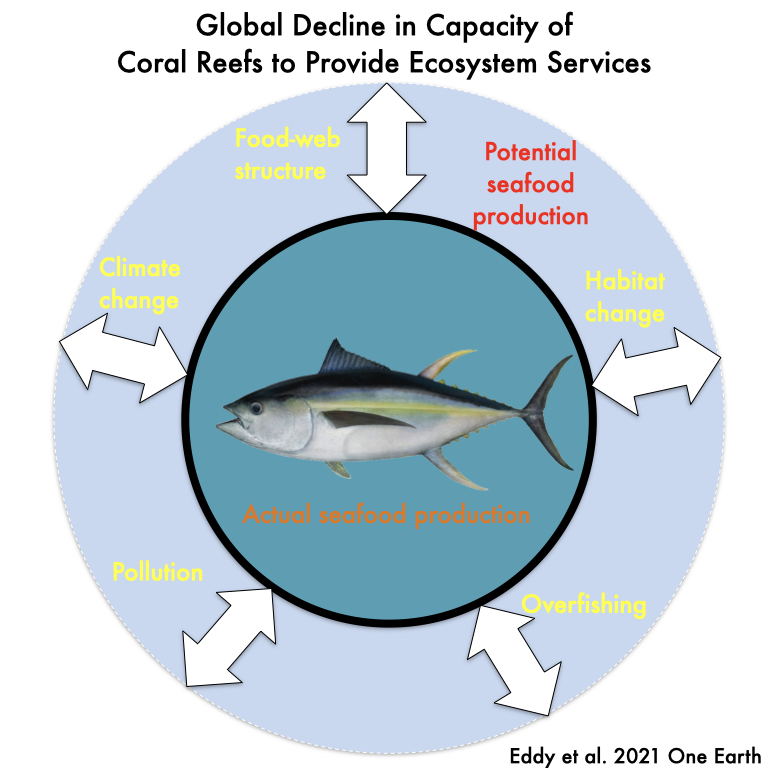 Climate change's severe impact on global coral reefs and the people who ...