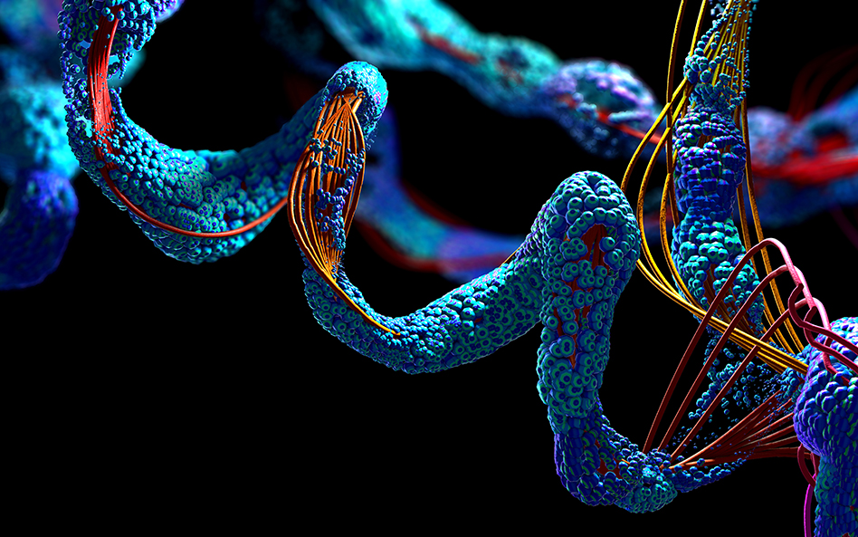 In the push and pull of crowds, disordered proteins dance precariously ...