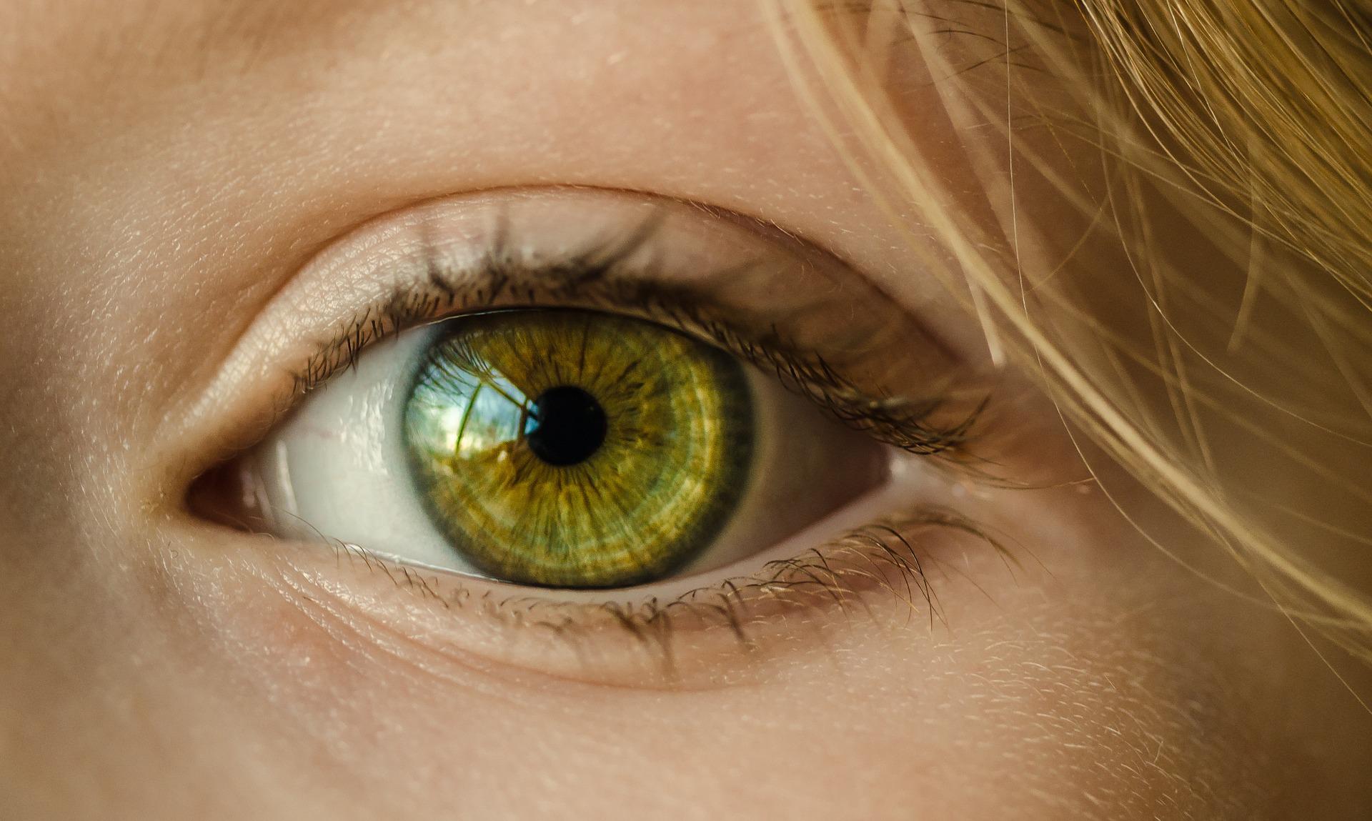 When it comes to ADHD and ASD, the eyes could reveal all - Scimex