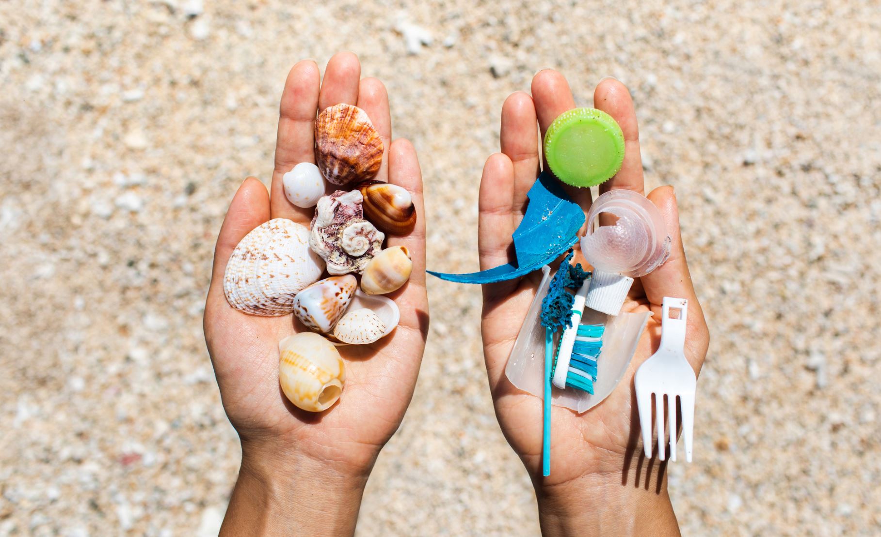 Microplastic waste measured in metro waters - Scimex