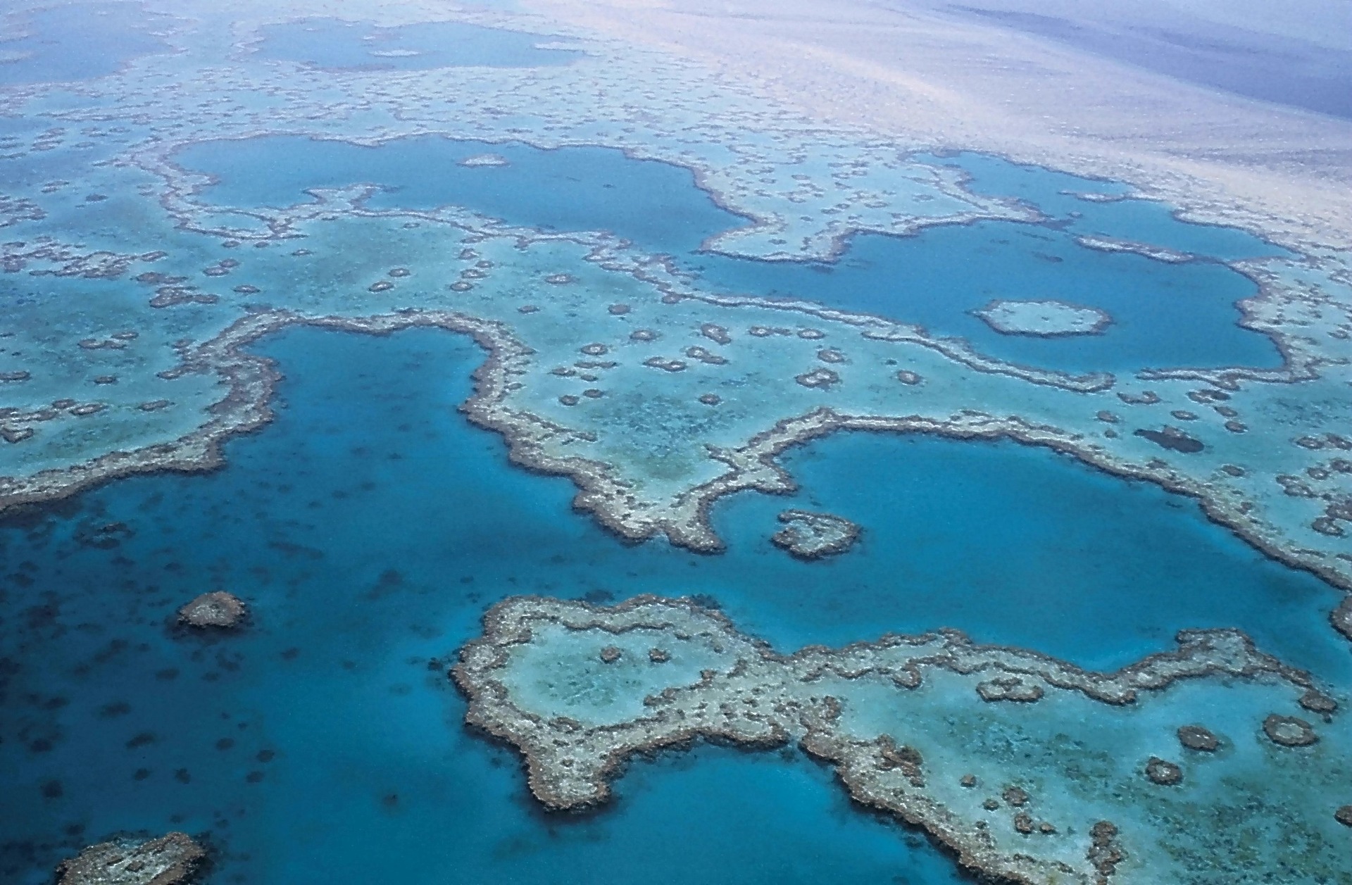 EXPERT REACTION UNESCO Declares The GBR Should Be Listed As in Danger EXPERT REACTION UNESCO Declares The GBR Should Be Listed As in Danger