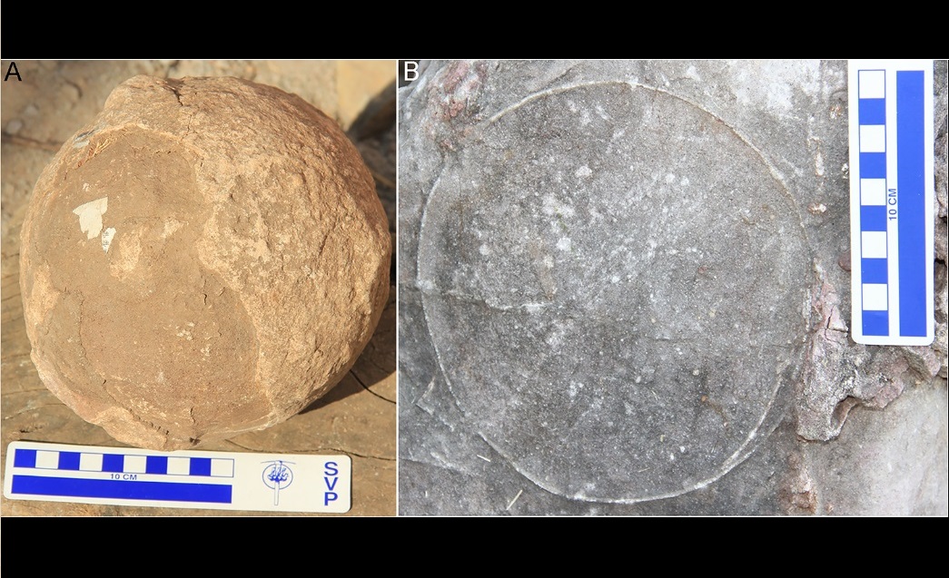Over 250 titanosaur egg fossils in India suggest huge dinos let their ...