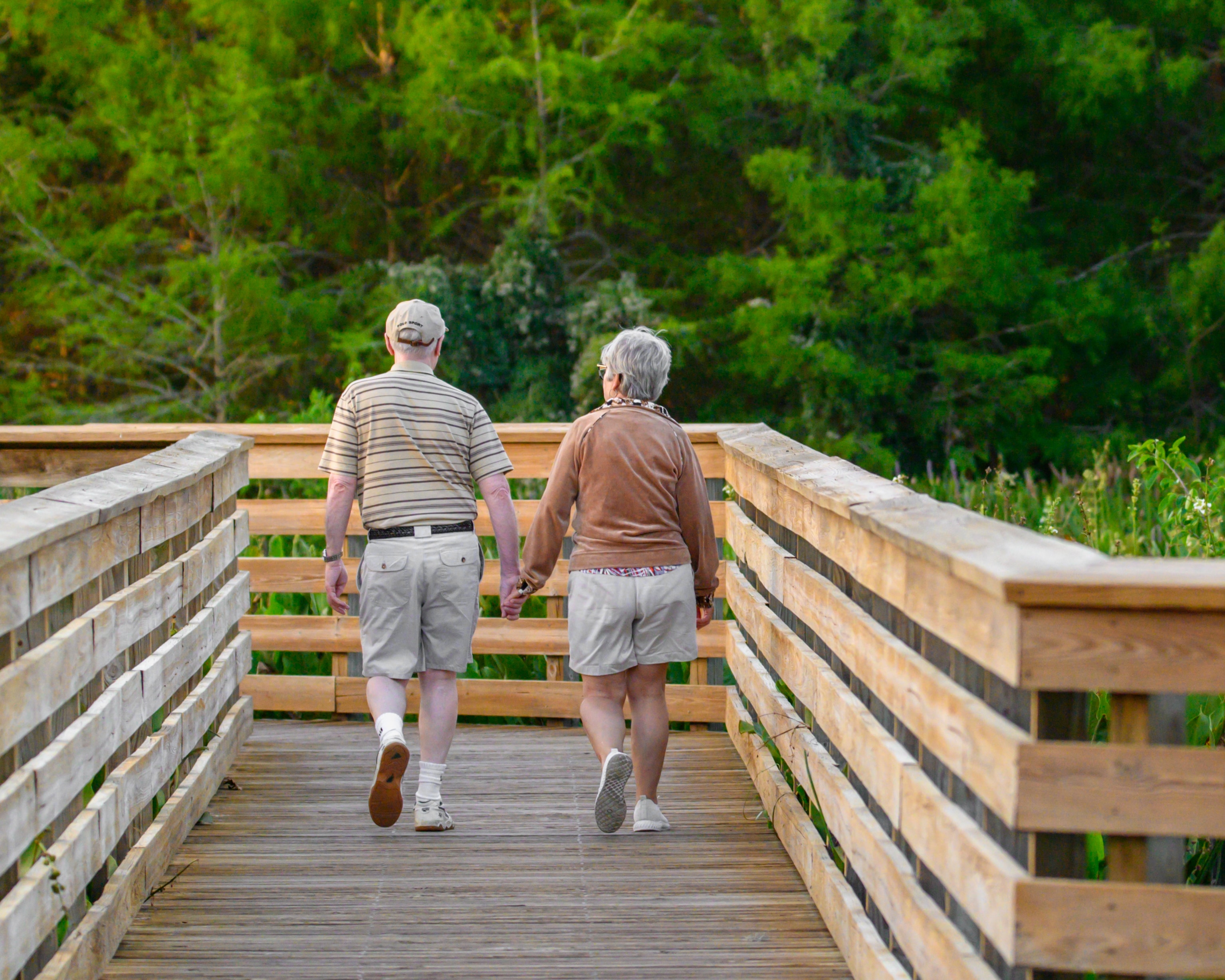 Physical activity contributes to a healthy ageing brain in poor ...