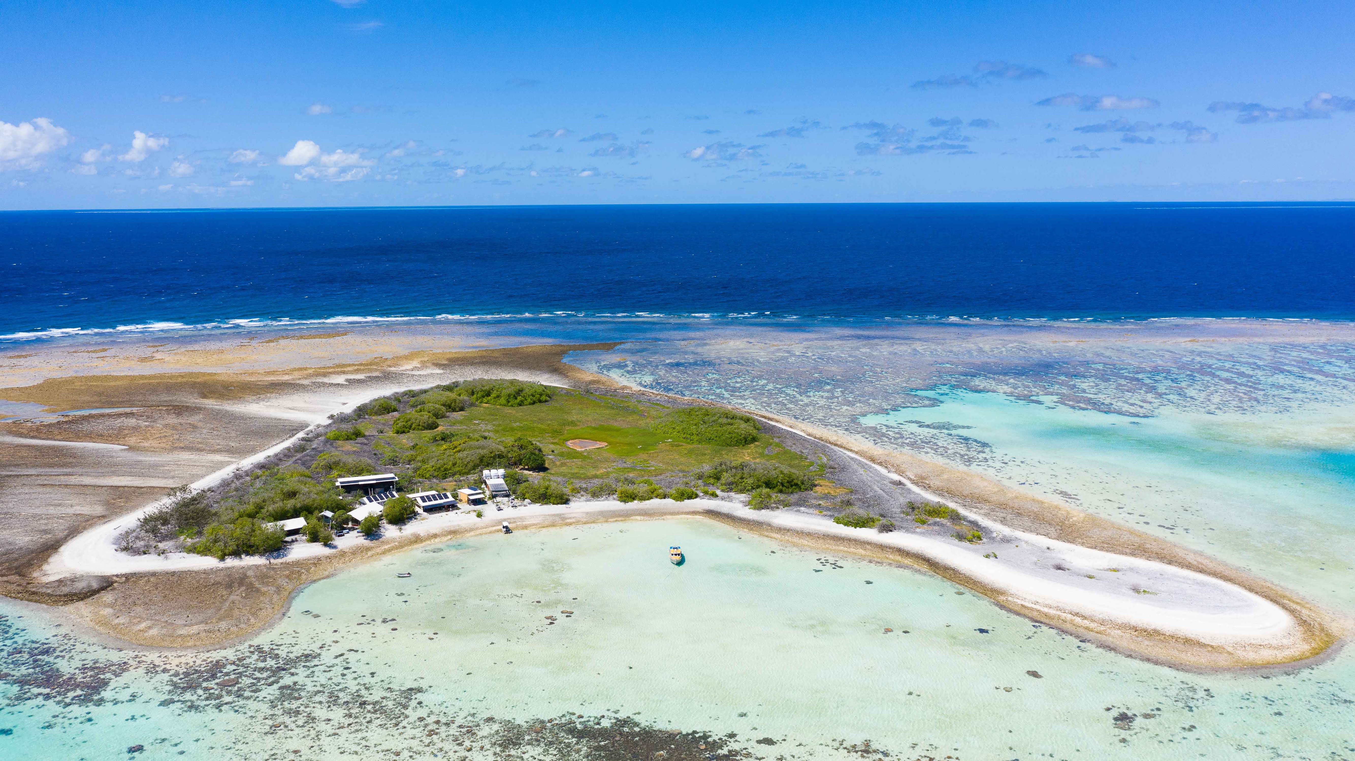 How did the early Great Barrier Reef manage rapid environmental change ...
