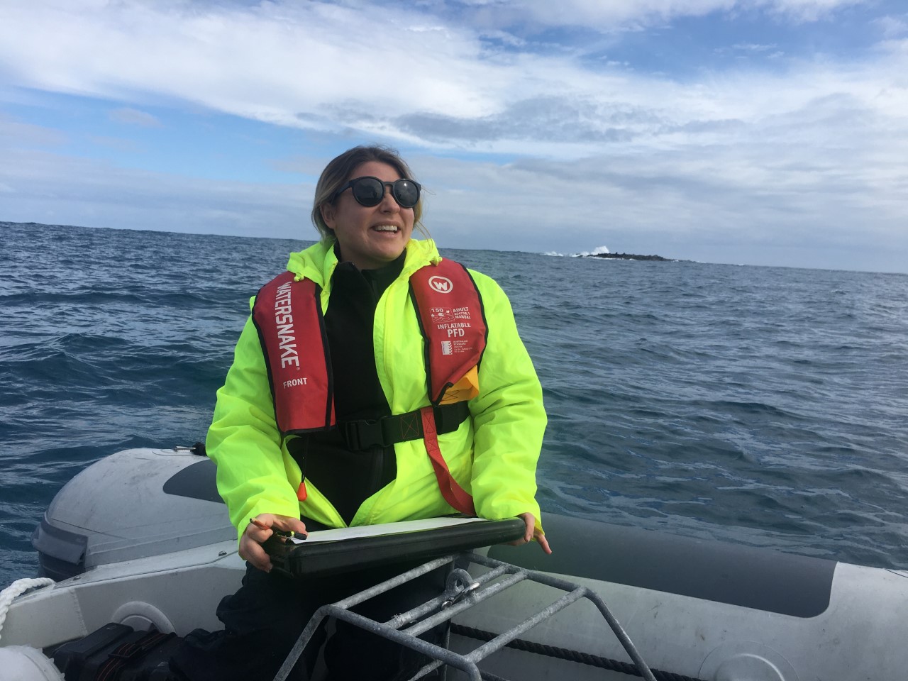 Personal white shark e-deterrents more effective than long-range device ...