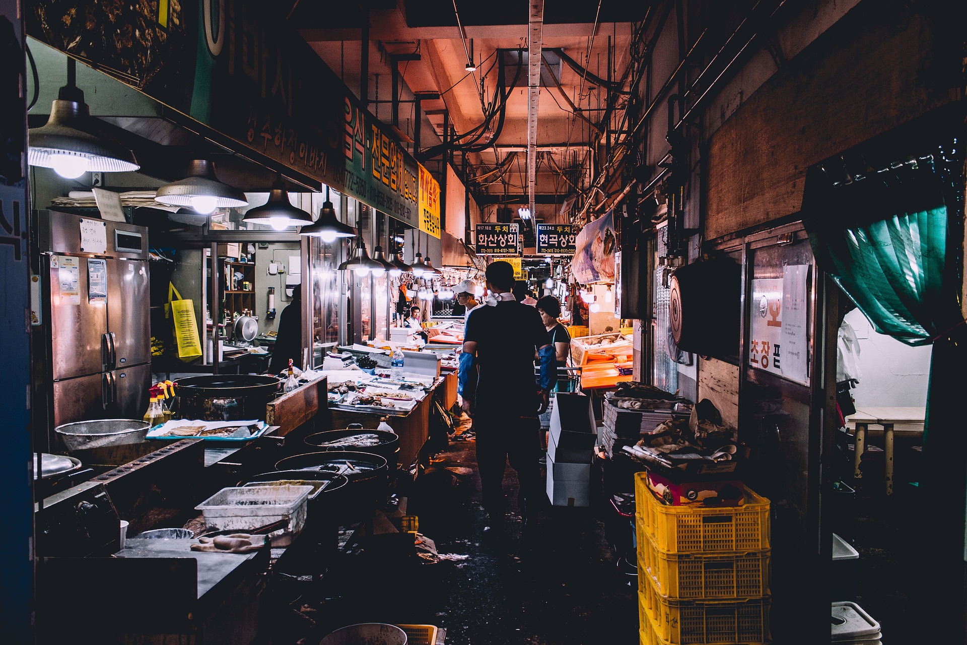 EXPERT REACTION: Chinese wet markets, COVID-19 and the wildlife trade ...