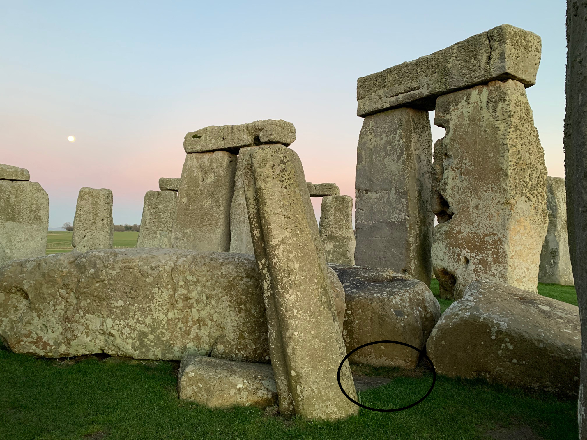 NEWS BRIEFING: Great Scot! Stonehenge’s Altar Stone origins reveal ...