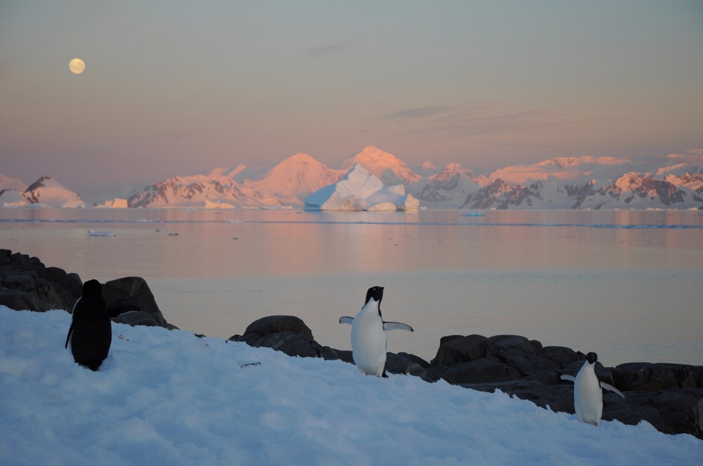 EXPERT REACTION: Antarctica vulnerable to extreme climate events - Scimex